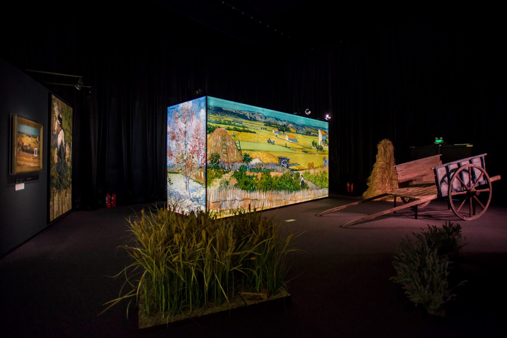 Meet Vincent Van Gogh 2026 | Taquilla.com