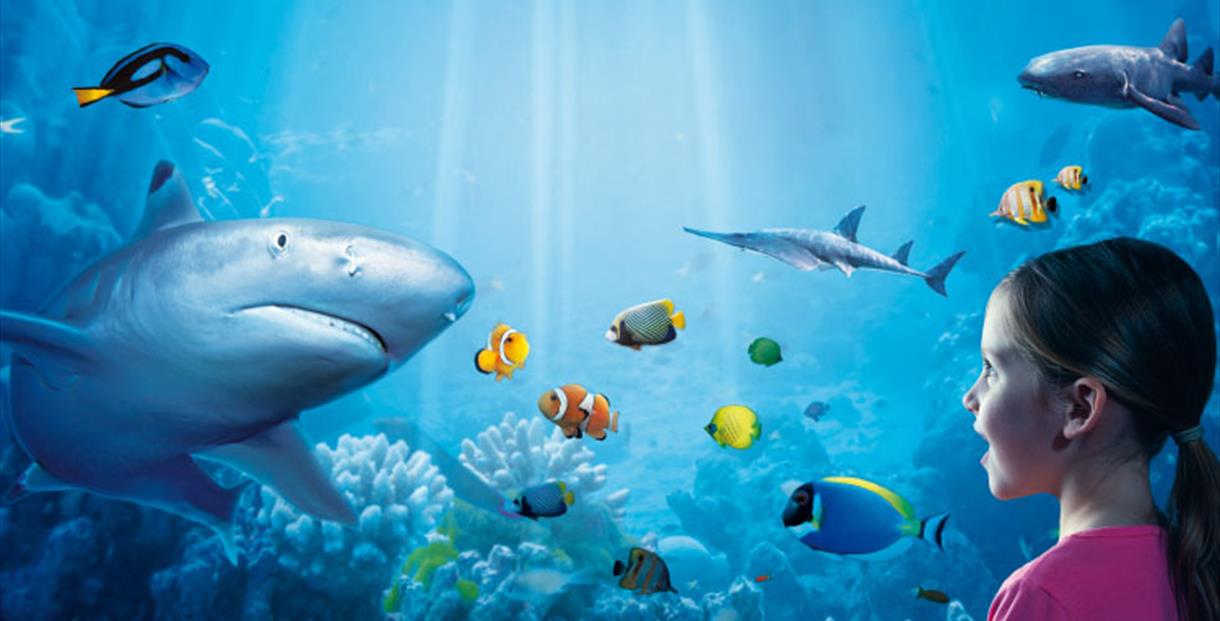 Entradas Sea Life Benalmadena | Taquilla.com