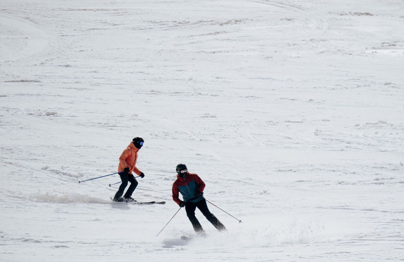 Polar Sound Festival 2026 | Taquilla.com