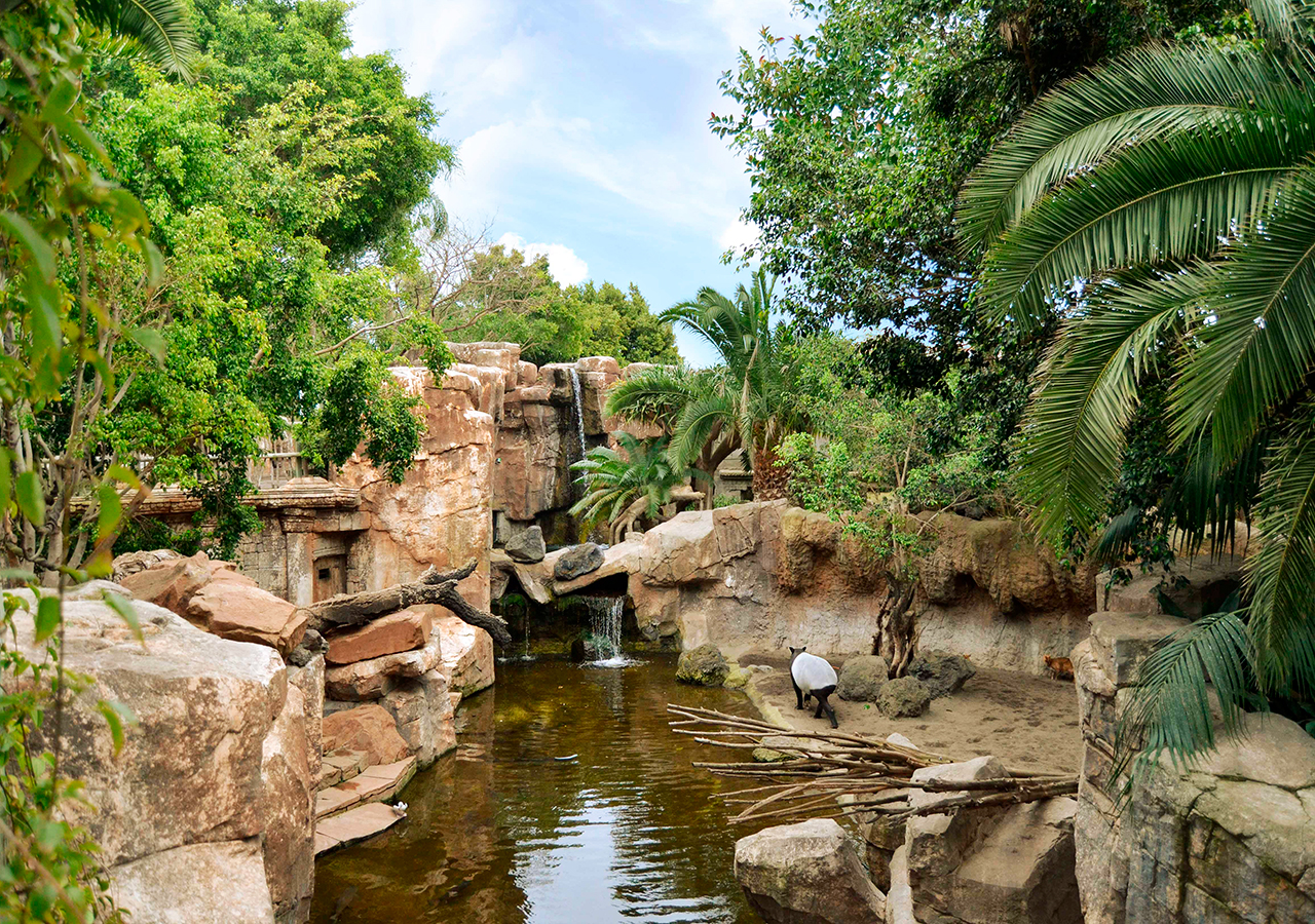 Entradas Bioparc Fuengirola | Taquilla.com