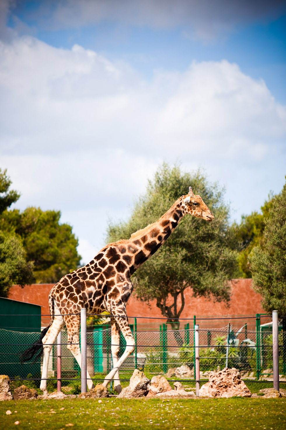 Entradas Safari Zoo Mallorca | Taquilla.com