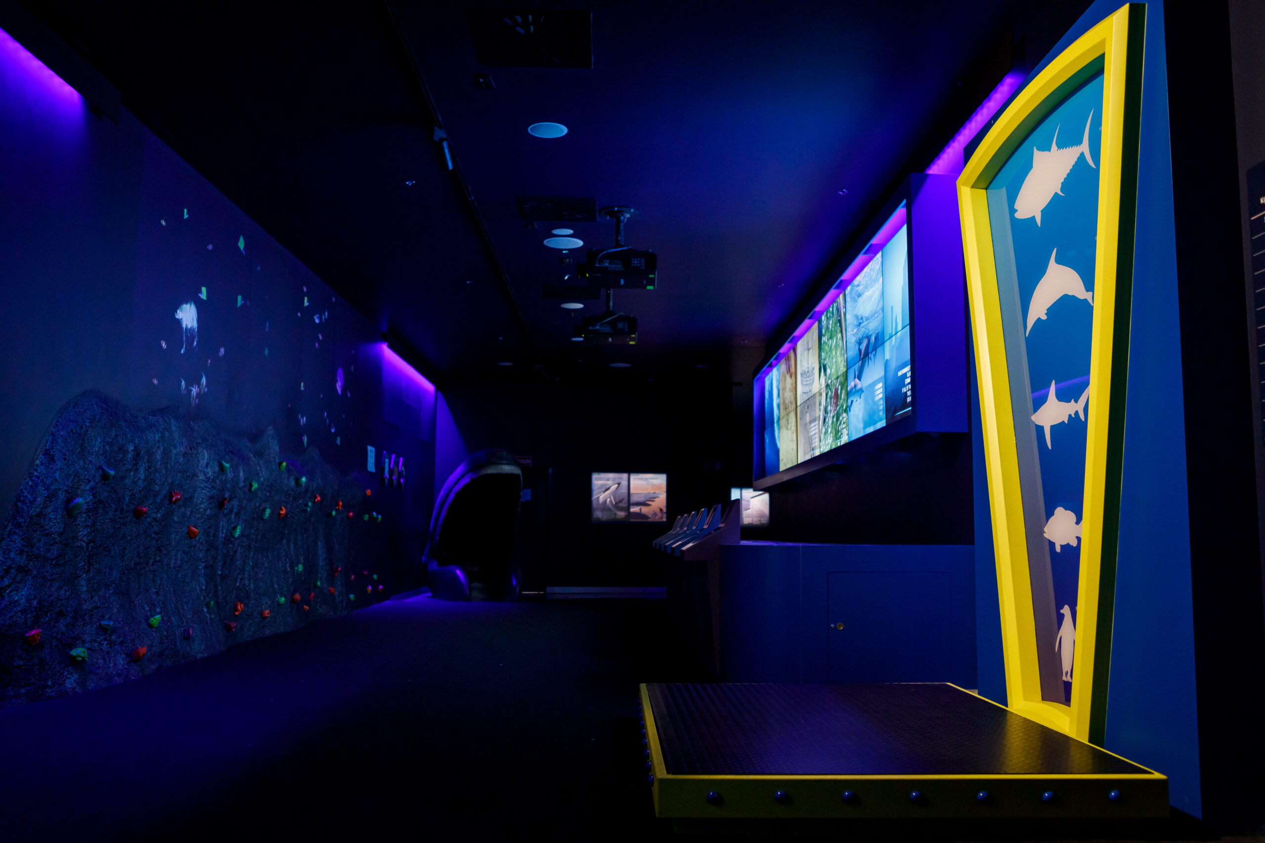 Entradas Atlantis Aquarium de Madrid | Taquilla.com