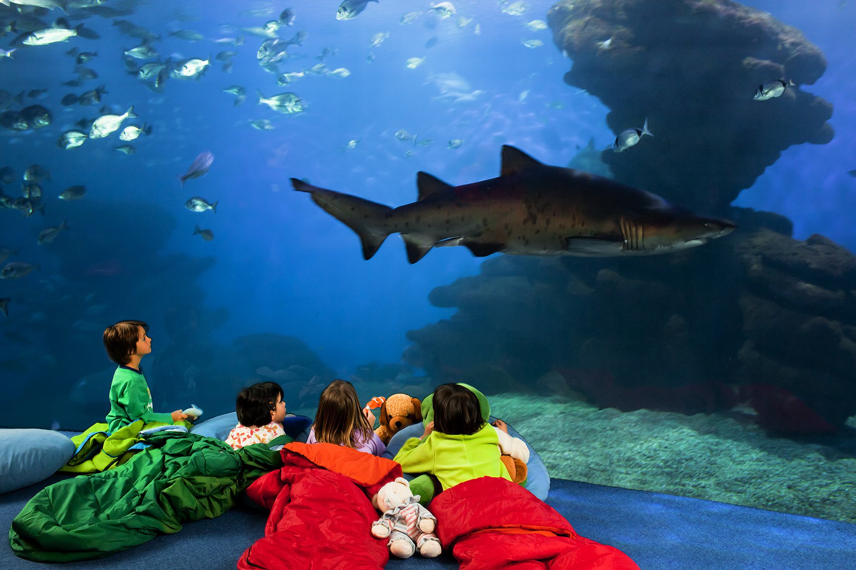 Entradas Palma Aquarium | Taquilla.com