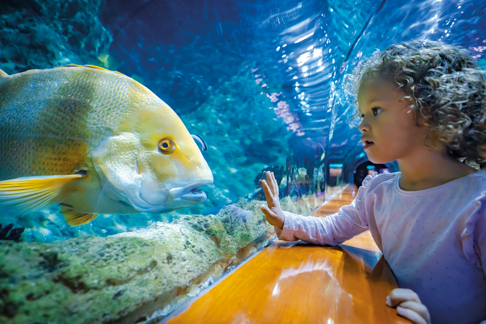 Entradas Loro Parque | Taquilla.com