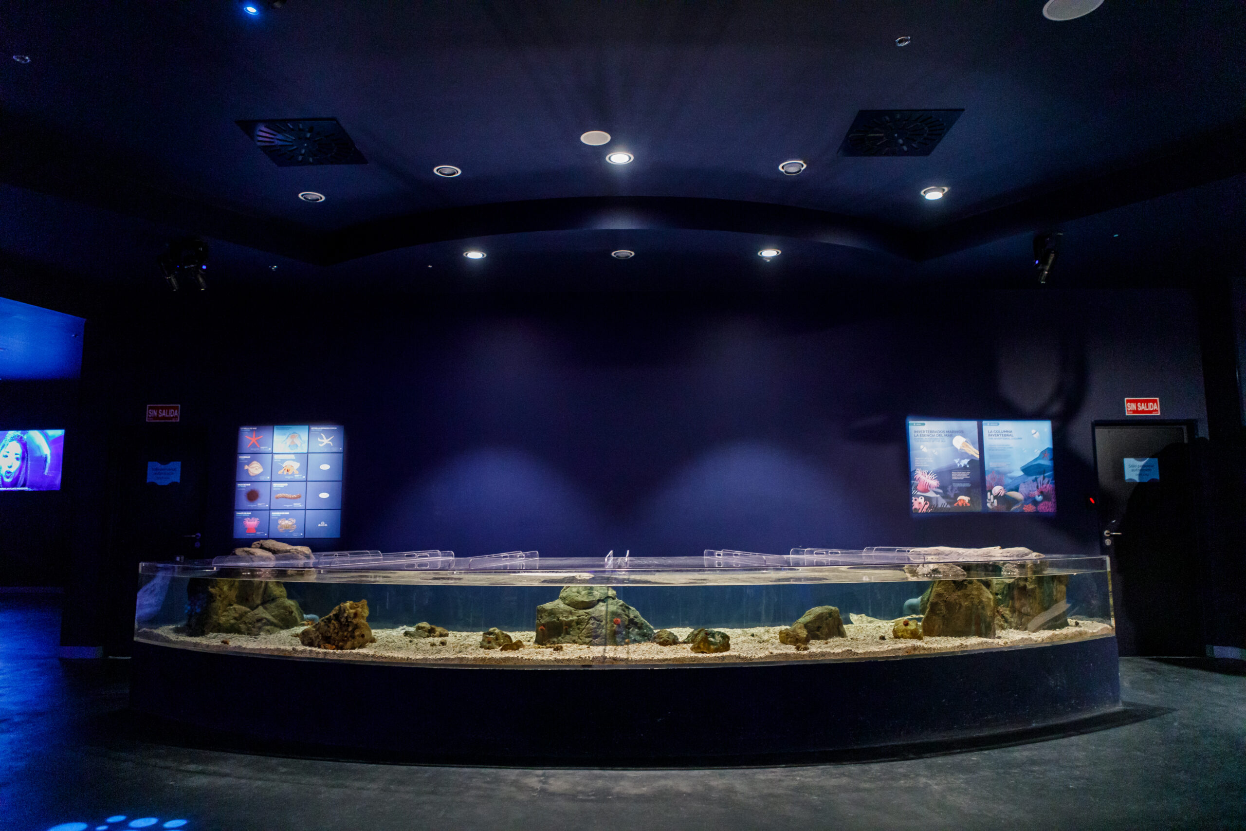 Entradas Atlantis Aquarium de Madrid | Taquilla.com