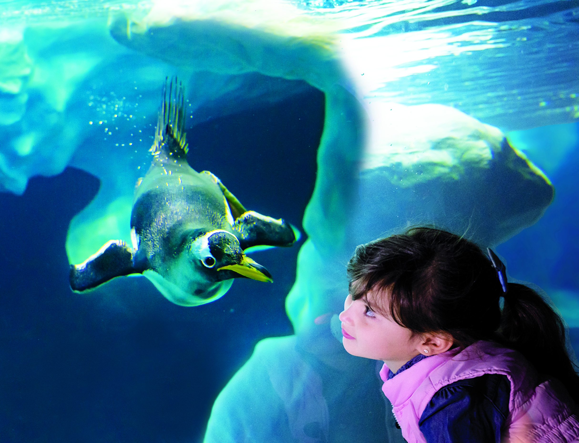 Entradas Loro Parque | Taquilla.com