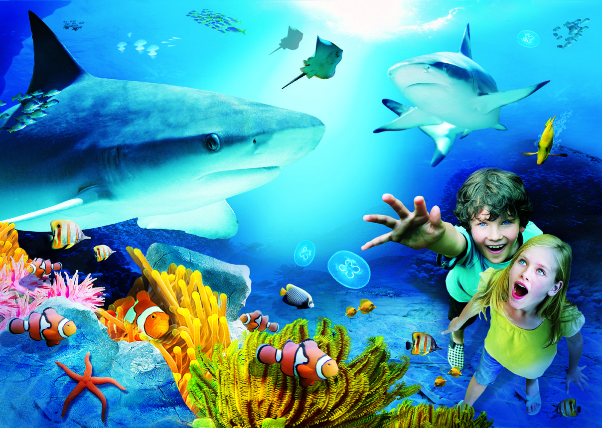 Entradas Sea Life Benalmadena | Taquilla.com