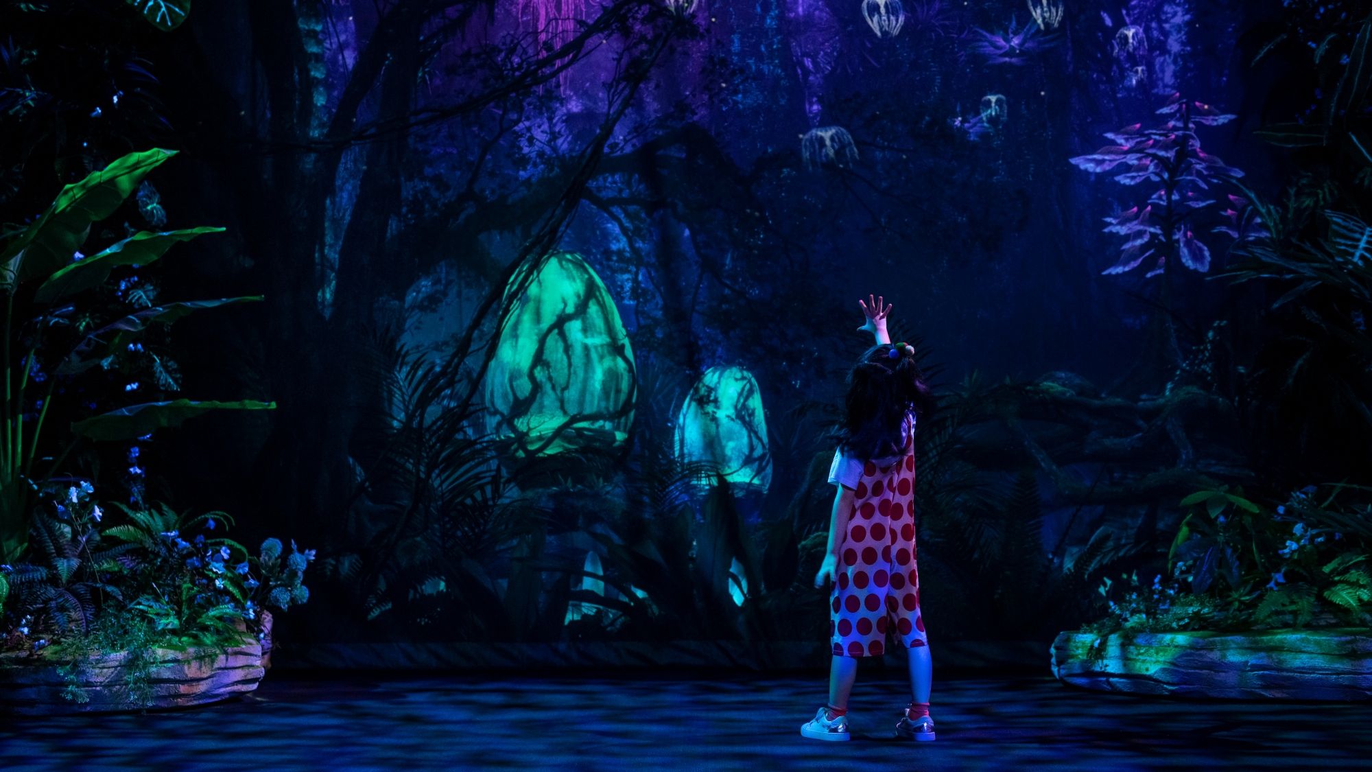 Avatar: The Experience 2026 | Taquilla.com