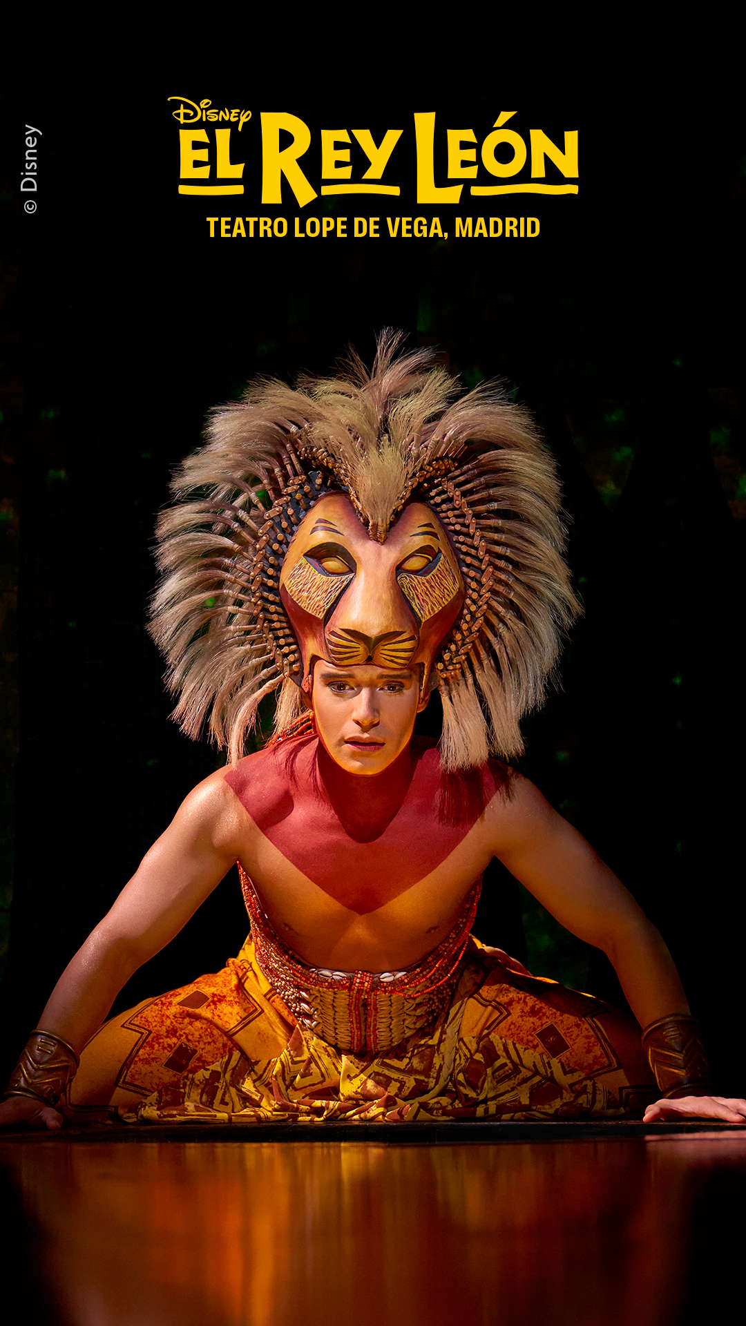 Entradas El Rey León, Musical en Madrid | Taquilla.com