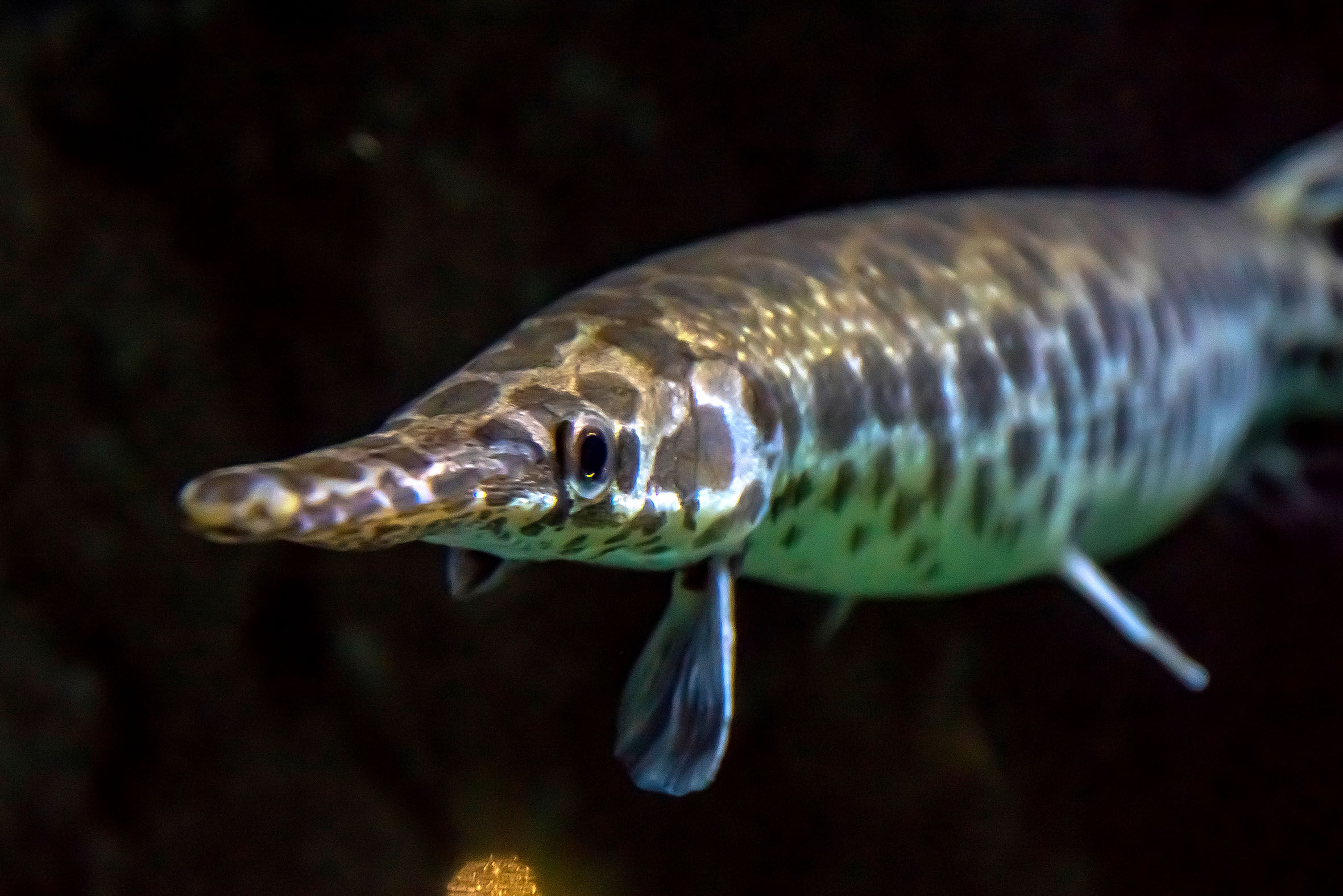 Acuario de Zaragoza 2026 | Taquilla.com
