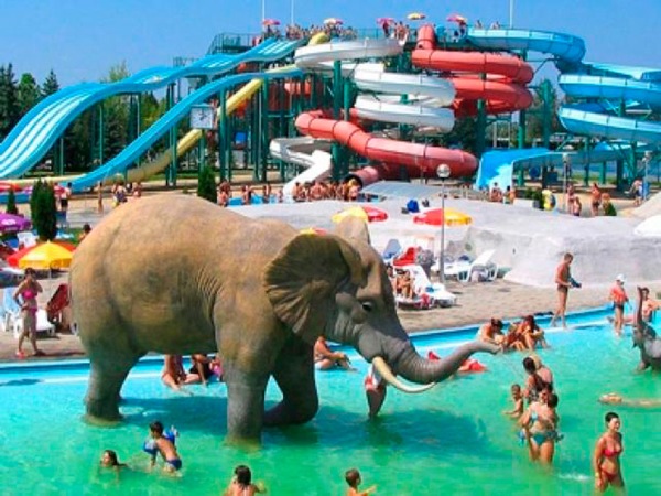 Entradas Aqualand Torremolinos | Taquilla.com