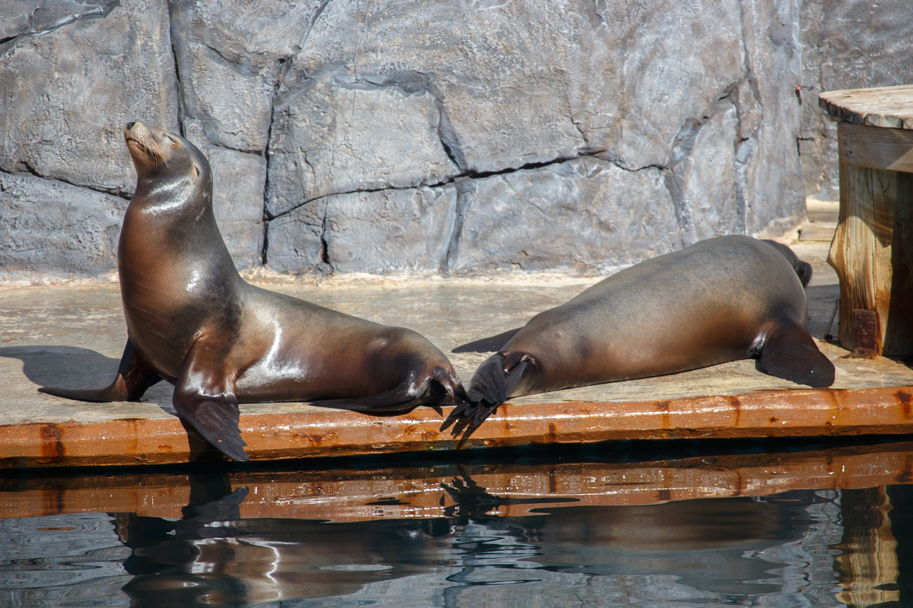 Entradas Faunia | Taquilla.com