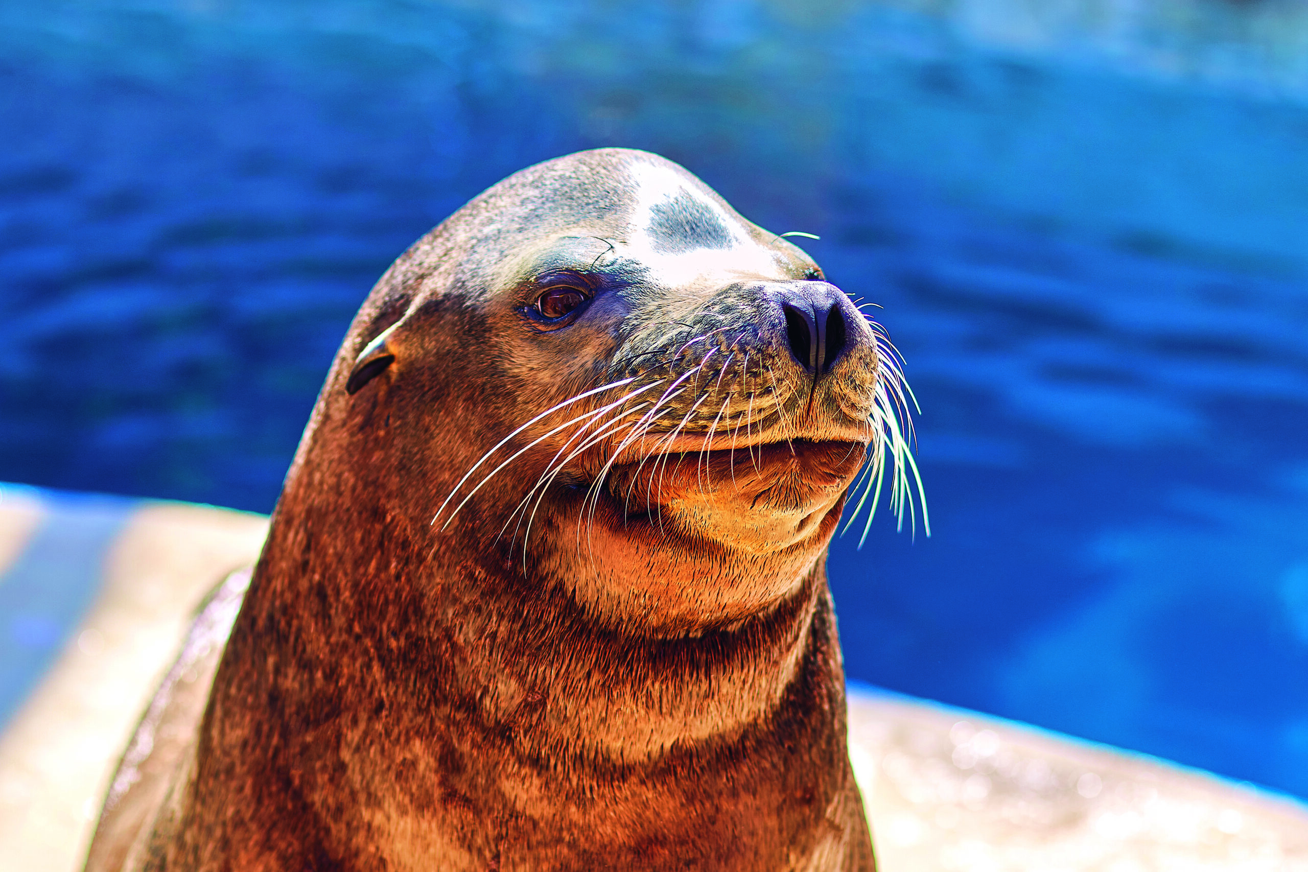 Entradas Mundomar Benidorm | Taquilla.com