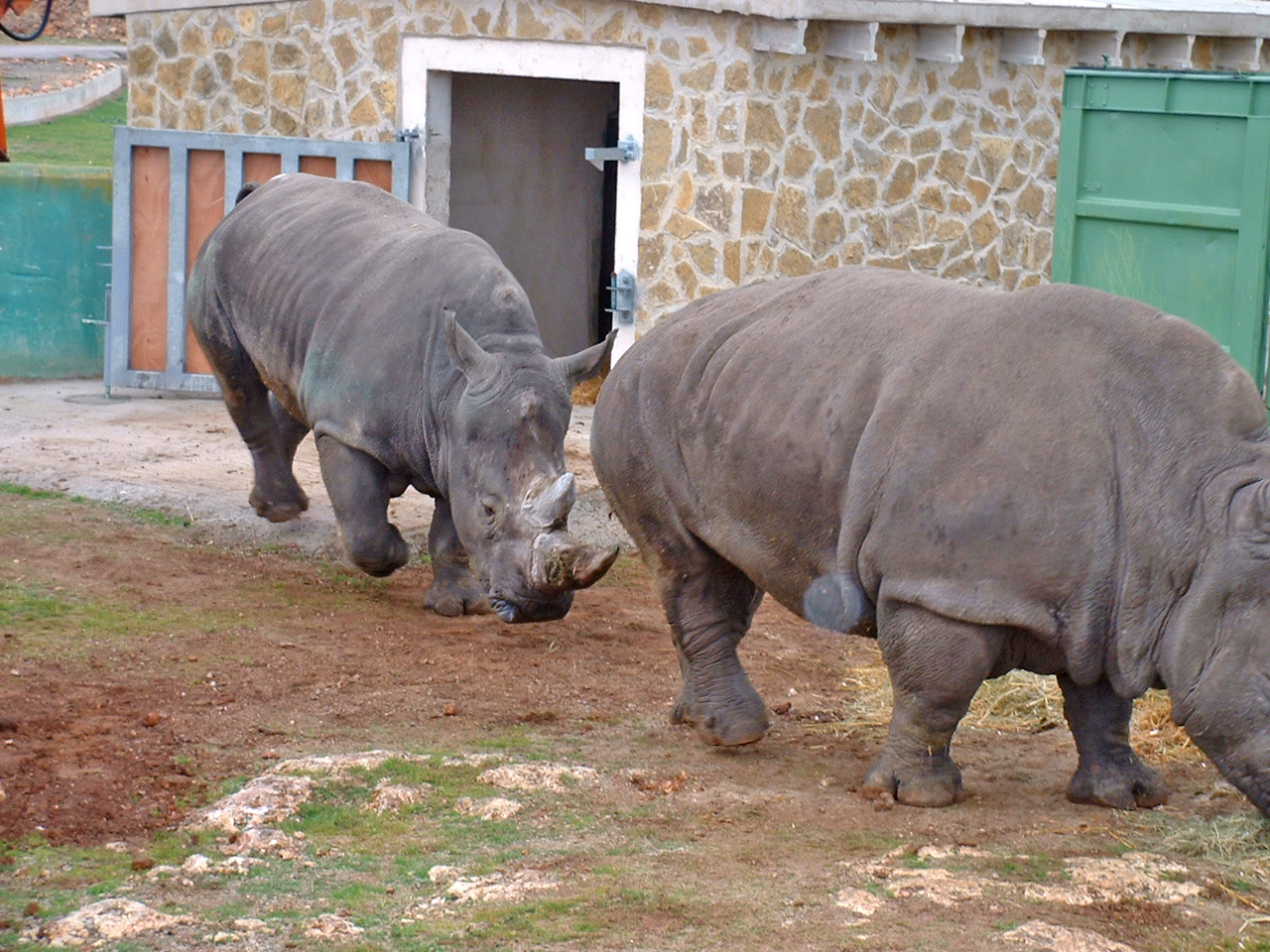 Entradas Safari Zoo Mallorca | Taquilla.com