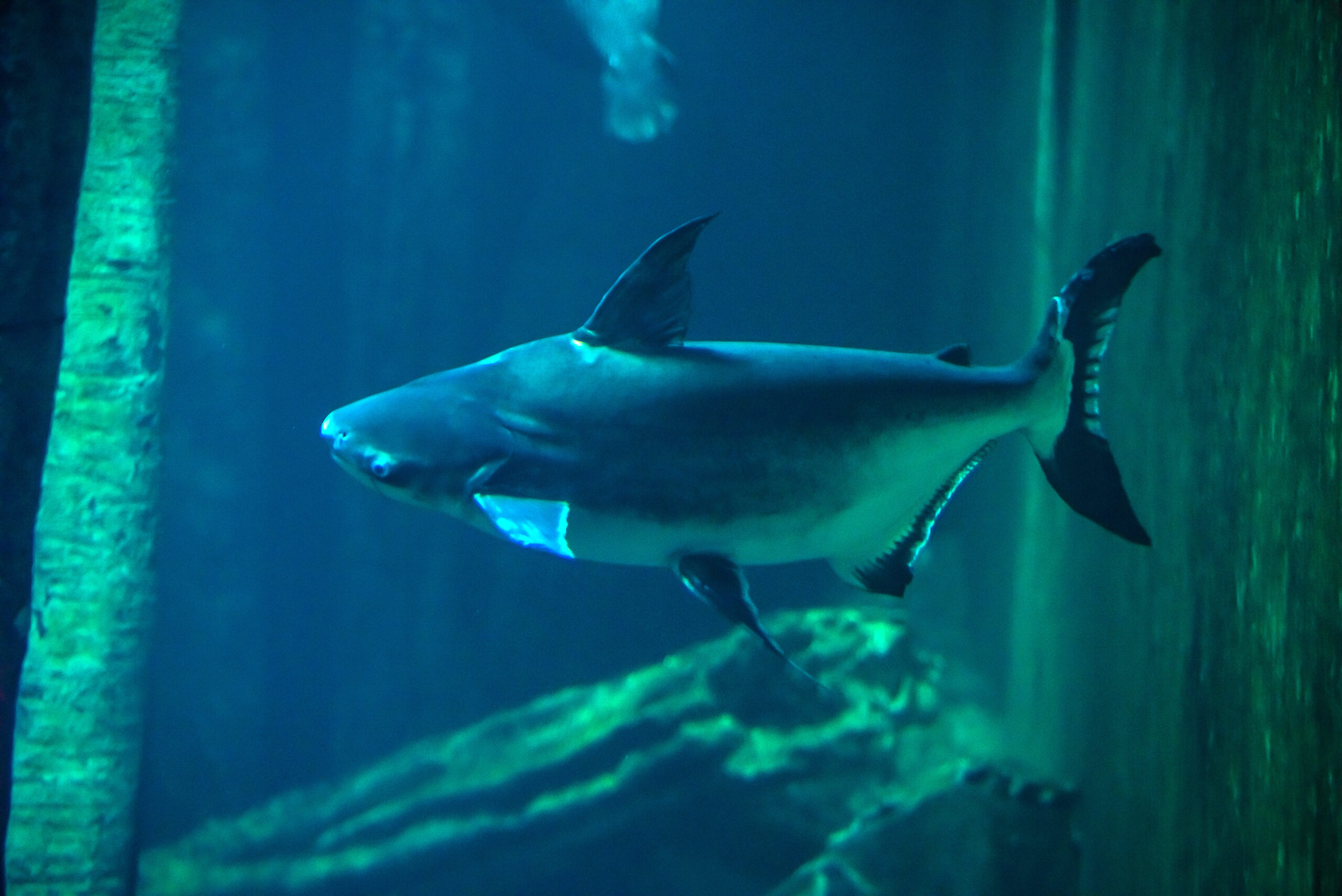 Acuario de Zaragoza 2026 | Taquilla.com