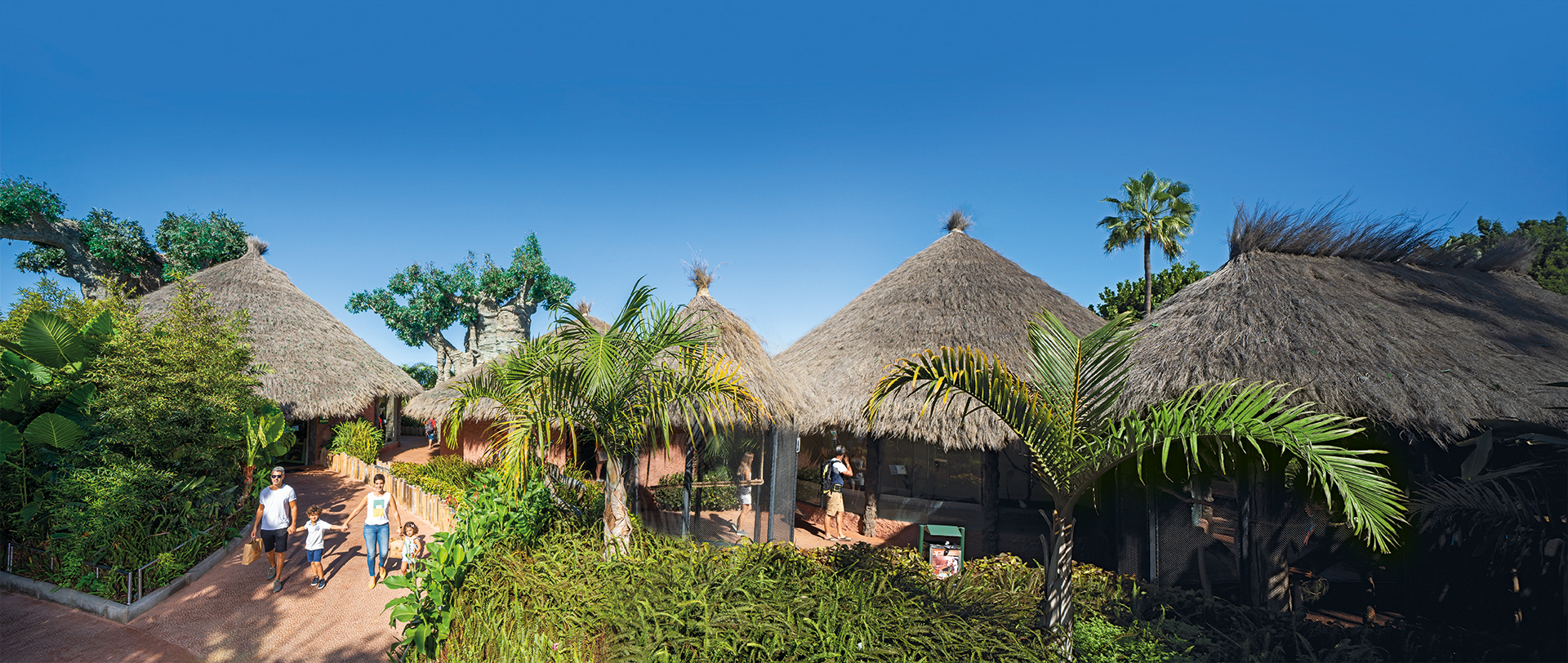 Entradas Loro Parque | Taquilla.com
