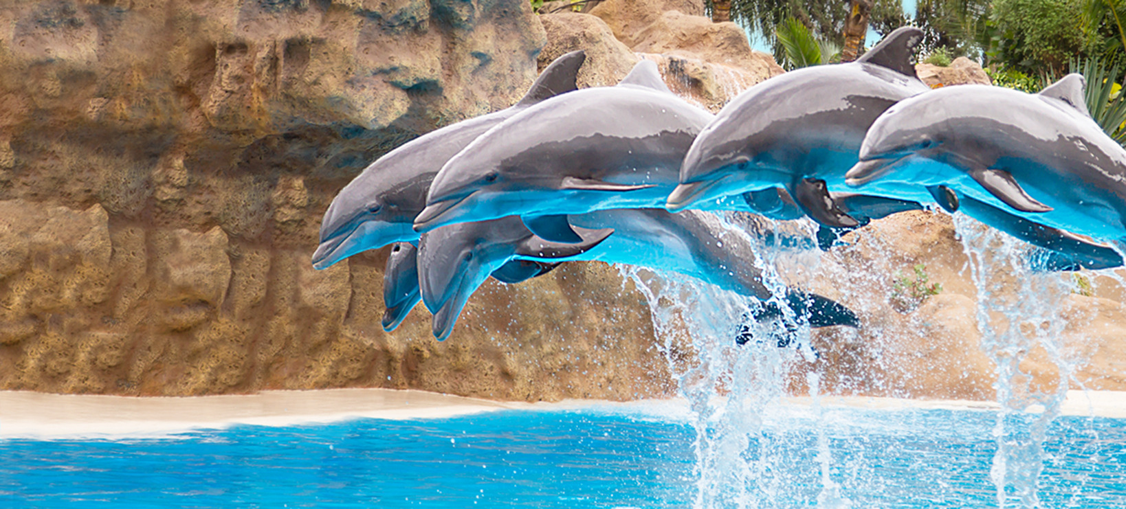 Entradas Loro Parque | Taquilla.com