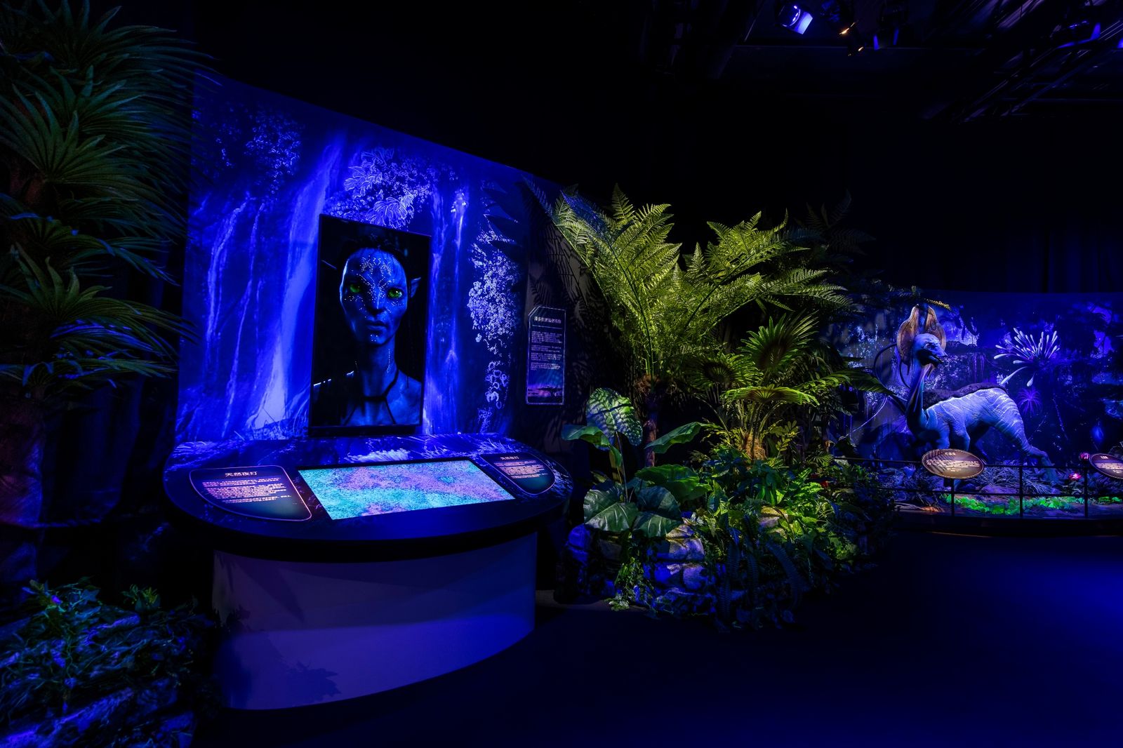 Avatar: The Experience 2026 | Taquilla.com