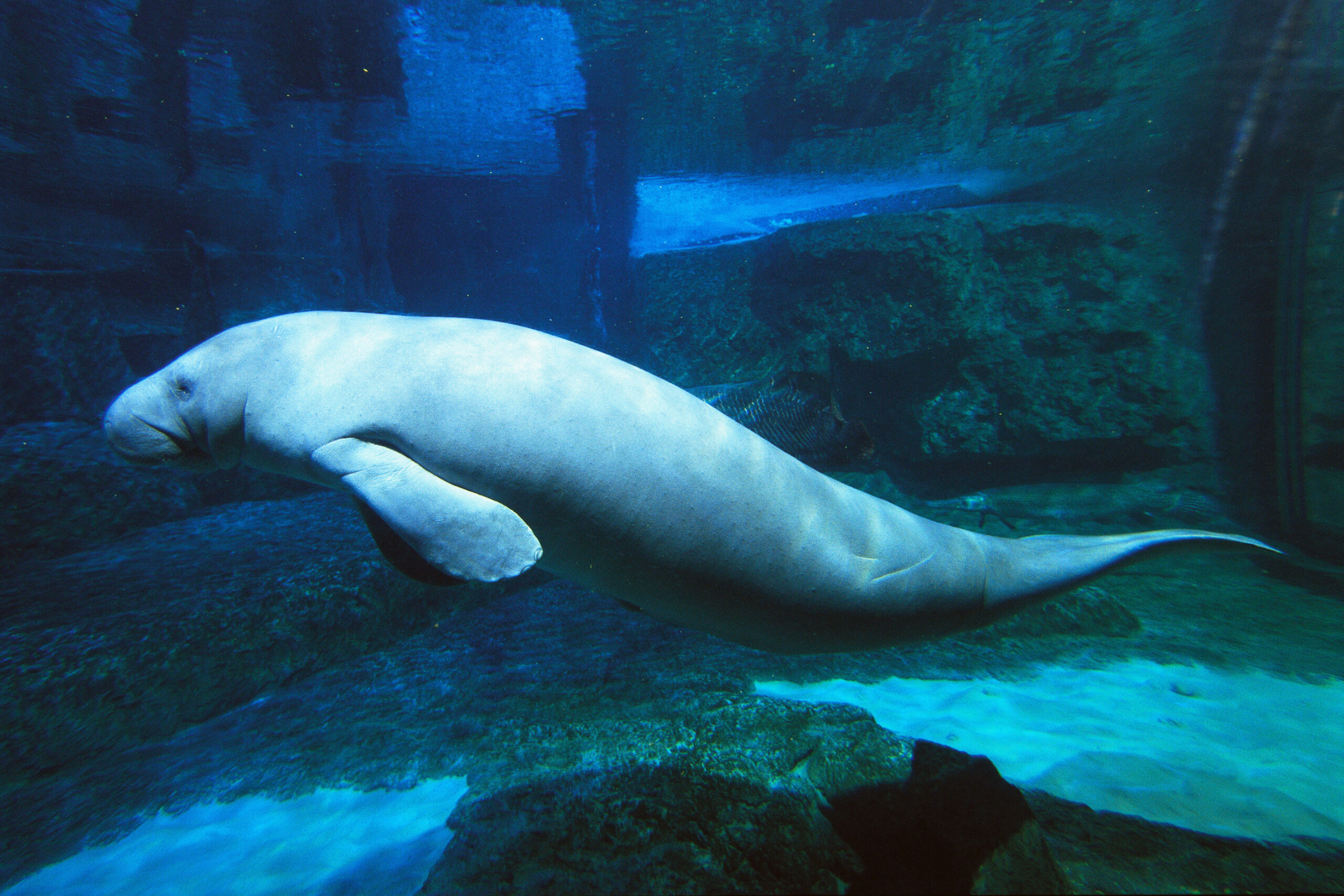 Entradas Faunia | Taquilla.com