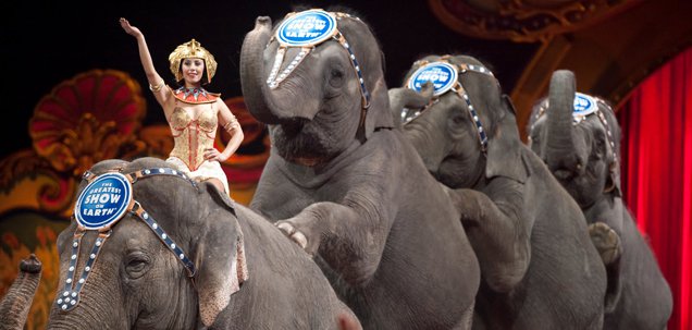 Gran Circo Americano 2026 | Taquilla.com