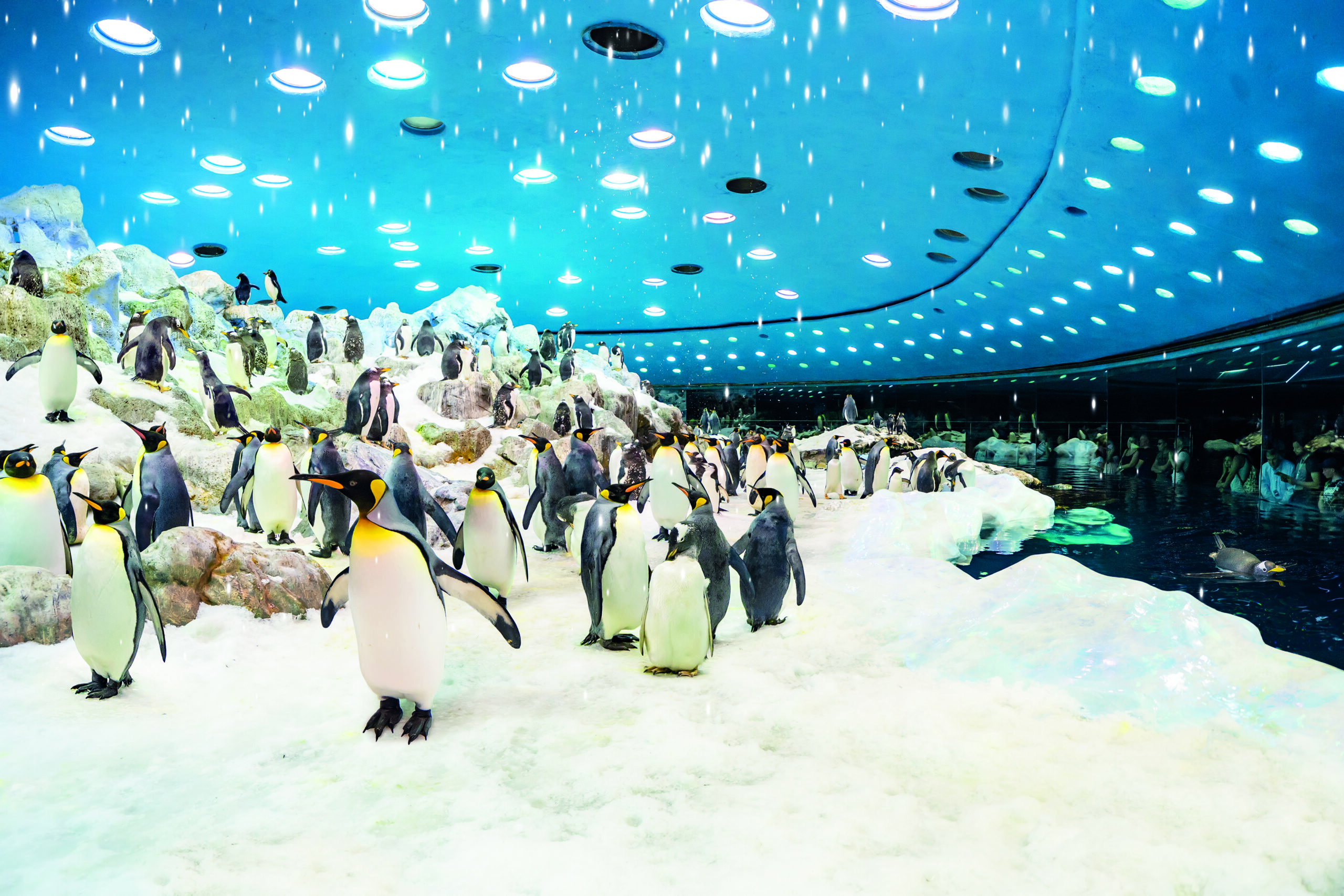 Entradas Loro Parque | Taquilla.com