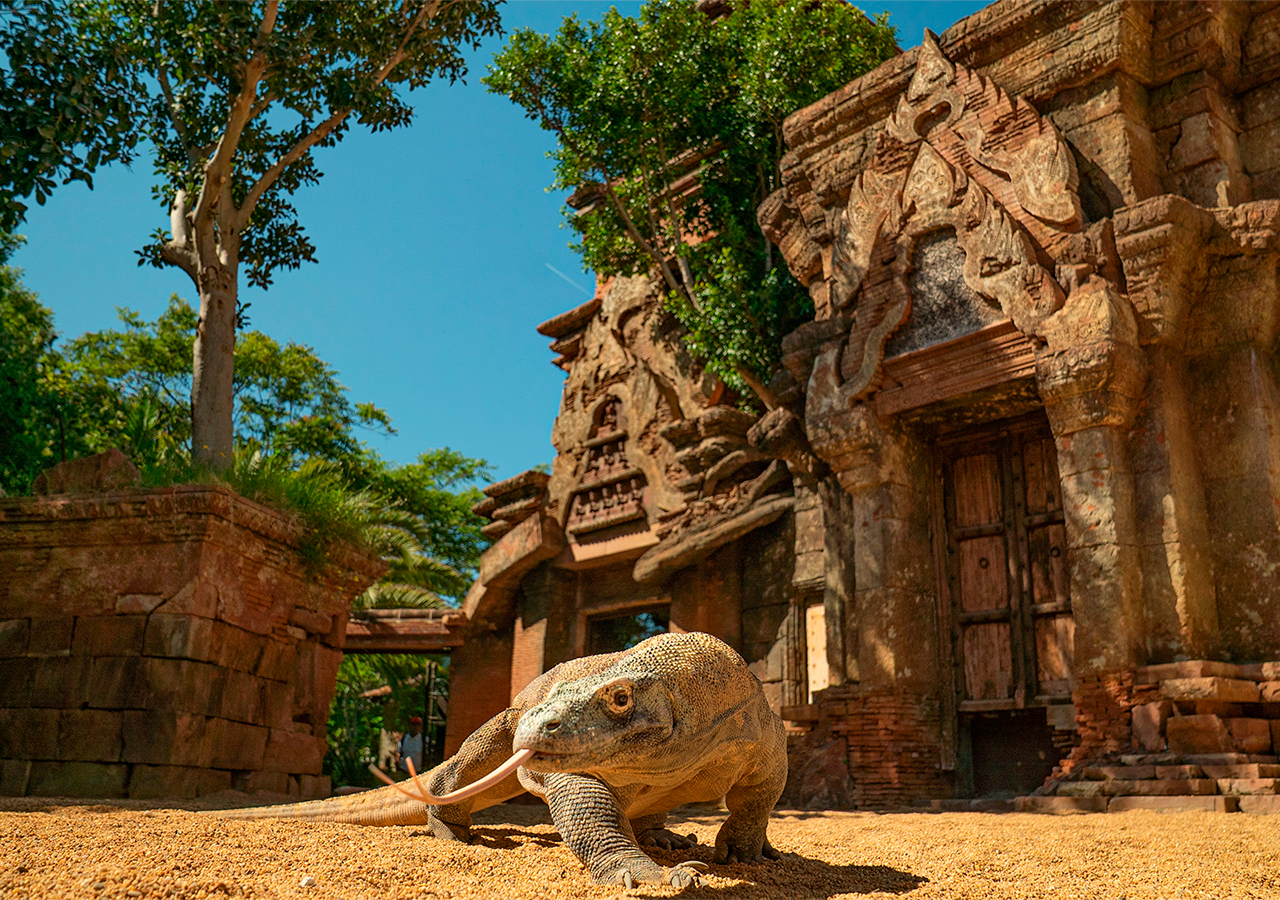 Entradas Bioparc Fuengirola | Taquilla.com